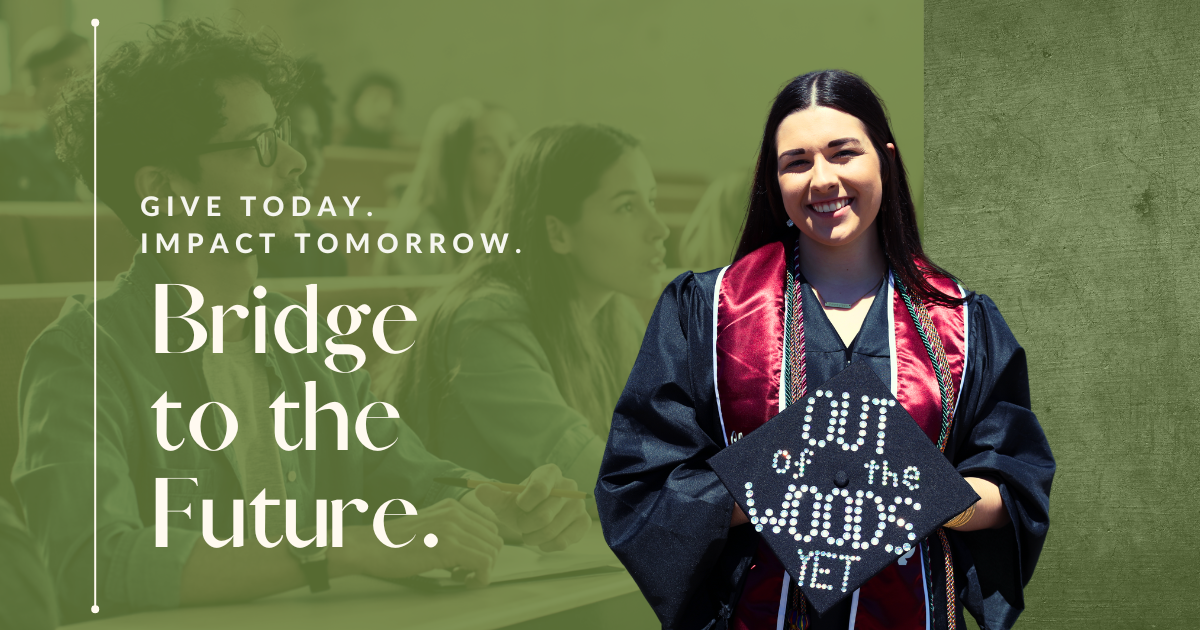 Bridge to the Future